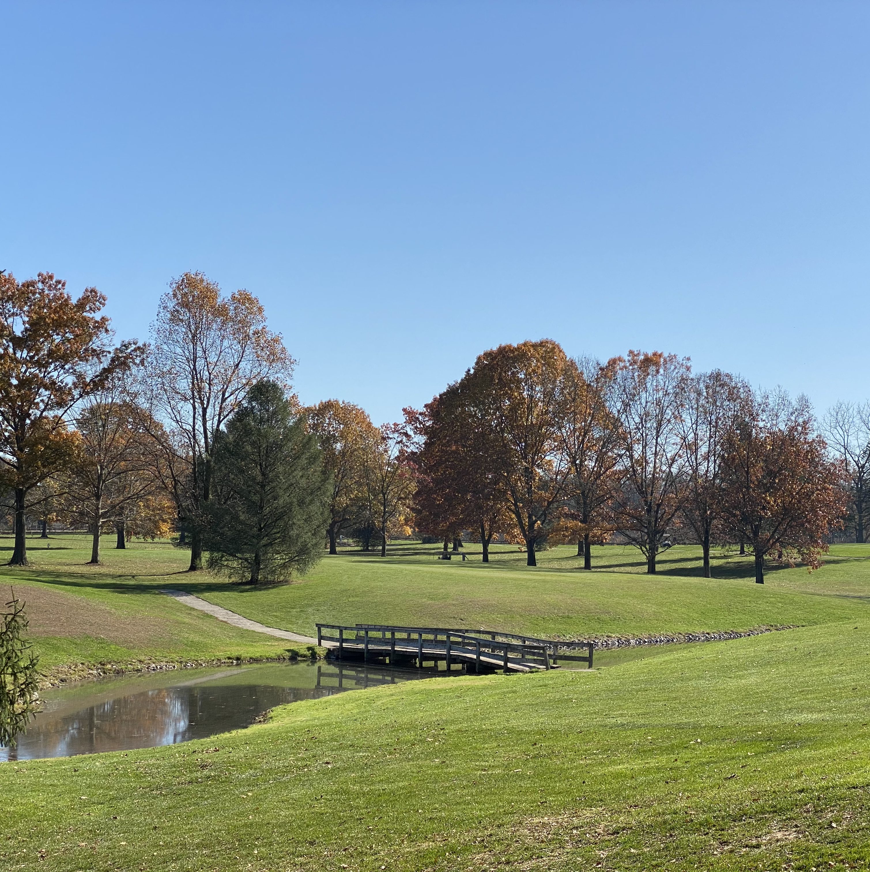 Men's League - Tree Top Golf Course