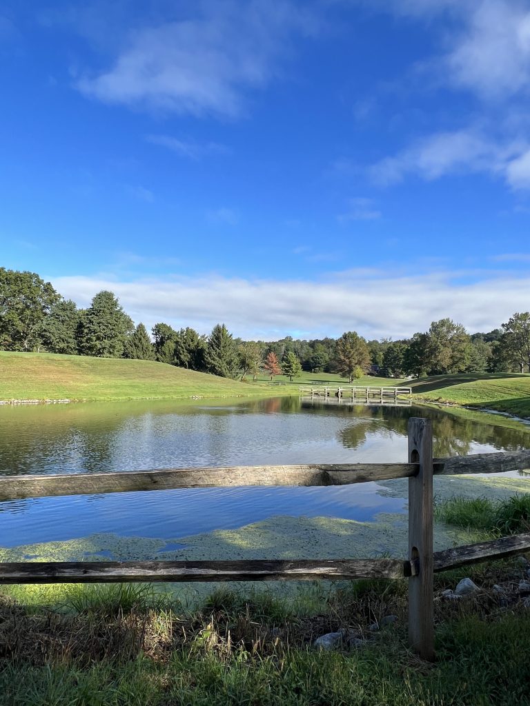 Home - Tree Top Golf Course